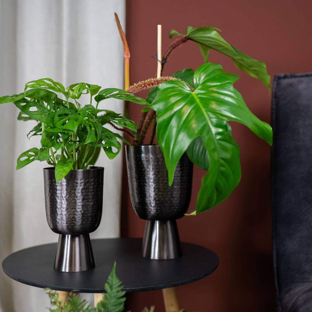 Lauren Antrasit Metal Saksı 15x29cm Fiyatı ve Özellikleri