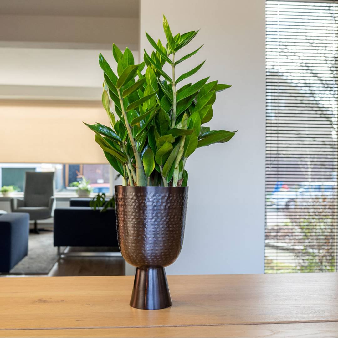 Lauren Antrasit Metal Saksı 15x29cm Fiyatı ve Özellikleri